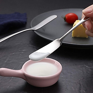 Colorsheng Set of 5 Stainless Steel Butter Knife, Butter applicator, Breakfast Spreads,soft cheeses and jam