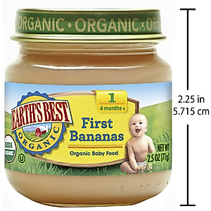 Earth's Best Organic Stage 1 Baby Food, First Bananas, 2.5 oz. Jar