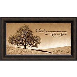 Home Cabin Décor Life in Your Years by John Jones 16x28 Sepia Photograph Tree Landscape Abraham Lincoln Quote Inspirational Framed Art Print Picture