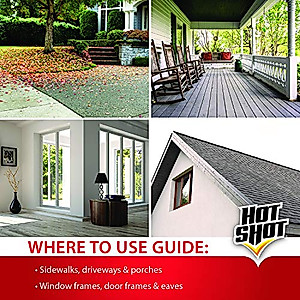 Hot Shot Ant, Roach And Spider Killer 2-17.5 Ounce Aerosol Cans, Fresh Floral Scent, Twin Pack