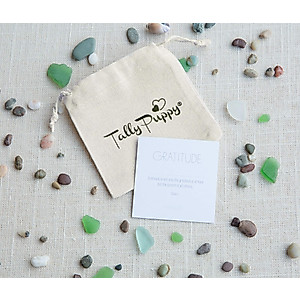 Tally Puppy Gratitude Engraved Braided Bracelet Inspirational Bracelets Encouragement Gifts For Women Mantra Bracelets Women Thinking Of You Gifts For Women Meaningful Gifts Adjustable (Aqua)