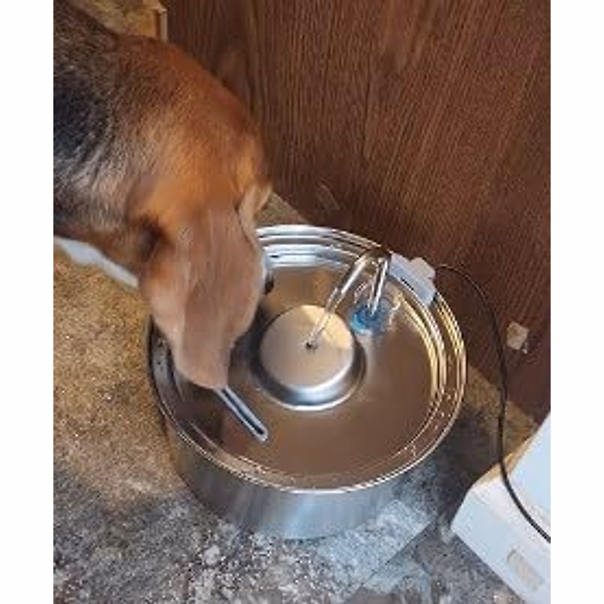 KOOGMOON Cat Water Fountain Stainless Steel, 108oz/3.2L Automatic Cat Fountain, Multi-Filtration, Easy to Clean, Ultra Silent Dog Water Dispenser for Cats, Dogs and Other Pets