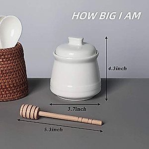 LEETOYI Honey Jar with Lid and Honey Dipper,Ceramic Honey pot,12oz (White)