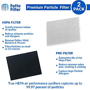 Fette Filter -Premium True Hepa H13 Filter Replacement Compatible with Fellowes AeraMax 190/200/DX55 Air Cleaner Purifiers Part # 9287101 9324101 (2-Hepa + 8 Carbon Filters)