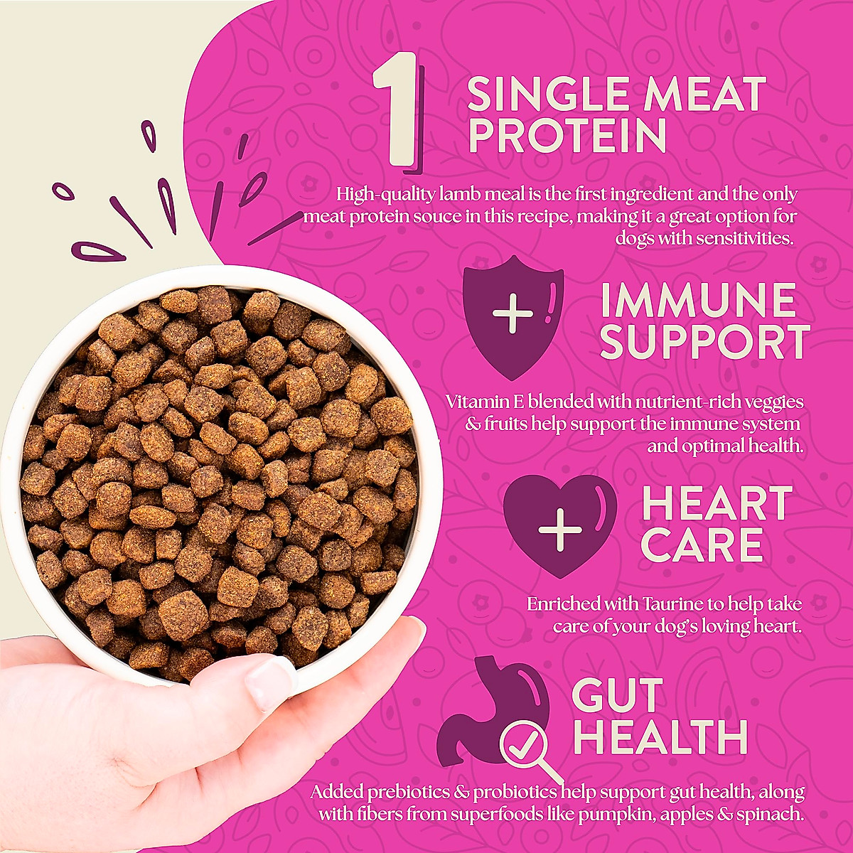 Earthborn Holistic Meadow Feast Lamb Meal & Vegetables Grain-Free Sensitive Skin & Stomach Dry Food for Adult Dogs (12.5 lb. Bag)