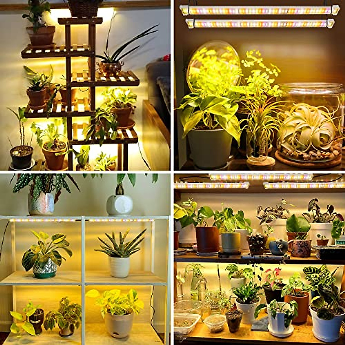 Grow Lights Strip Full Spectrum Cabinet Lights Grow Plant Light with 4/8/12H Auto On/Off Timer,384 LEDs 10 Brightness Grow Bar Strips Sunlike Grow Lamp for Indoor Plants 8 Pack