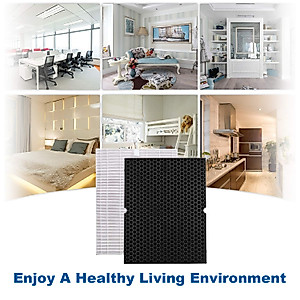 Flintar 116130 True HEPA Replacement Filter H, Compatible with Winix 5500-2 Air Purifier, Premium H13 Grade True HEPA and Washable Advanced Carbon Filter, Part # 116130, H Filter, 2-Pack