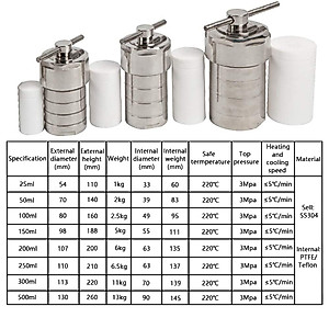 100ml Teflon Lined Hydrothermal Synthesis Autoclave Reactor 220℃ 3Mpa 304 Steel High Pressure Hydrothermal PTFE Hydrothermal Reactor Digestion Tank PTFE Vessel