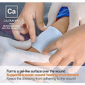 DERMA SOLU 4” x 4” Silver Calcium Alginate Wound Dressing Alginate w/Silver Sterile (4" x 4" (10 Dressings))