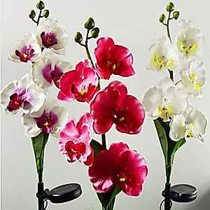 Aolyty Solar Garden Lights Outdoor, IP65 Waterproof Solar Stake Lights Butterfly Orchid Flowers Lights for Lawn Patio Backyard Landscape Party Decorative (Purple, 2 Pack)