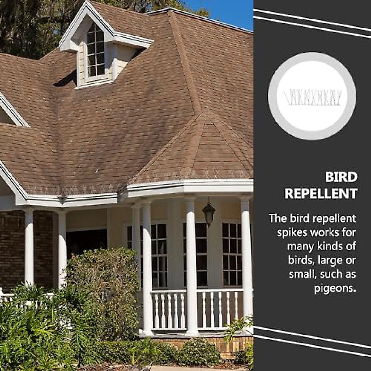 Cabilock Bird Spikes Stainless Steel Bird Blinder Bird Repellent Deterrent Spikes for Pigeons Birds