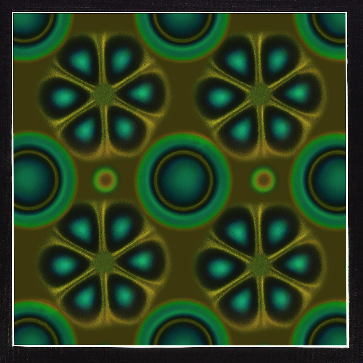 4 x 4 Inch Magnetic Field Viewing Film, Magnetic Field Viewer, Magnetic Flux Display, Magnet Pattern Detector, See Magnetic Field for Scientific Project (4 * 4 Inch)