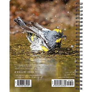 Willow Creek Press Backyard Birds Softcover Weekly Planner 2024 Spiral-Bound Engagement Calendar (6.5" x 8.5")