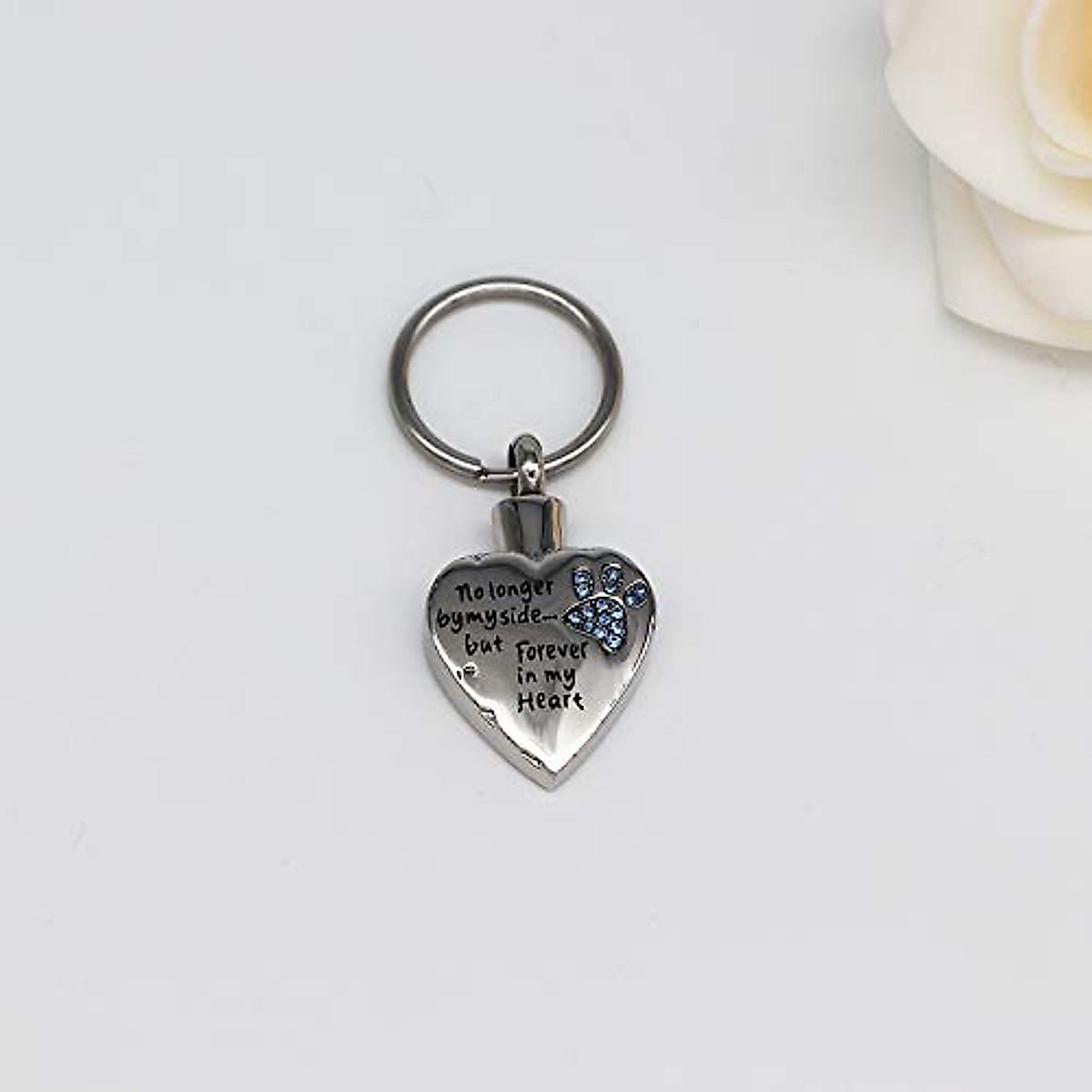 Vjajaly Cremation Jewelry for Ashes No Longer by My Side But Forever in My Heart Stainless Steel Pet Paw Keepsake Pendant Memorial Urn Keychain for Men Women (Blue)