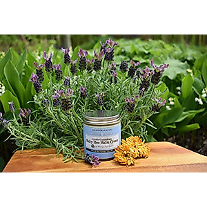 Baby Mild Lavender Bee Cream 2 oz