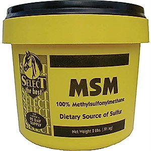 Select The Best Msm Powder Joint Support for Horses, 2 Pound Container