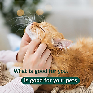 Standard Process Feline Hepatic Support - Cat Health Supplement for Liver Support - Hepatic Circulation & Liver Metabolism Aid - Tablet Supplement to Aid Hepatic Immune Function - 90 Tablets