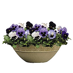 Classic Home and Garden Moroccan Bowl planters, 10", Desert