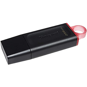 Kingston 256GB Flash Drive DataTraveler Exodia USB 3.2 High Speed 100MB/s USB for Computer (DTX/256GB) Bundle with 1 Everything But Stromboli Lanyard