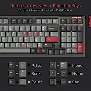 FL ESPORTS FL980 96% 1800 Layout Wired Mechanical Keyboard with Number Pad, 98 Keys RGB Hot Swappable Programmable Keyboard w/Light Tactile Kailh Box White Switches, Durable PBT Keycaps, (Dolch)