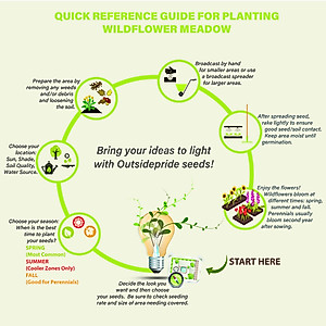 Outsidepride Tagetes Patula French Marigold Garden Flower Seed Mix - 1000 Seeds