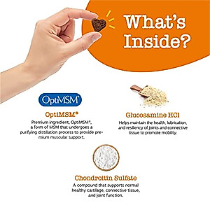 Zesty Paws Mobility Bites Dog Joint Supplement - Hip and Joint Chews for Dogs - Pet Products with Glucosamine, Chondroitin, & MSM + Vitamins C and E for Dog Joint Relief - Bacon – 90 Count