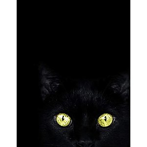 Black Paper Notebook: Black Cat Notebook Paper Book For Use With Gel Pens | Reverse Color Journal With Black Pages | Green Cat Eyes | College Ruled (Black Paper Journals & Sketchbooks | Gel Pen Paper)