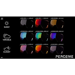 Anon Men's M4 Perceive Goggle Cylindrical Snapback with Spare Lens