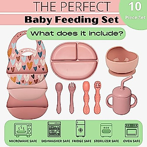 HappyDoo - Baby Led Weaning Supplies 10 pcs - Silicone Feeding Set For Baby with Baby Spoon Set + Suction Plates For Baby + Suction Bowls Silicone Plates - BPA Free and BLW Utensils - Baby Eating Set