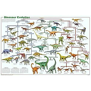 Dinosaur Evolution Educational Science Chart Poster 36 x 24in