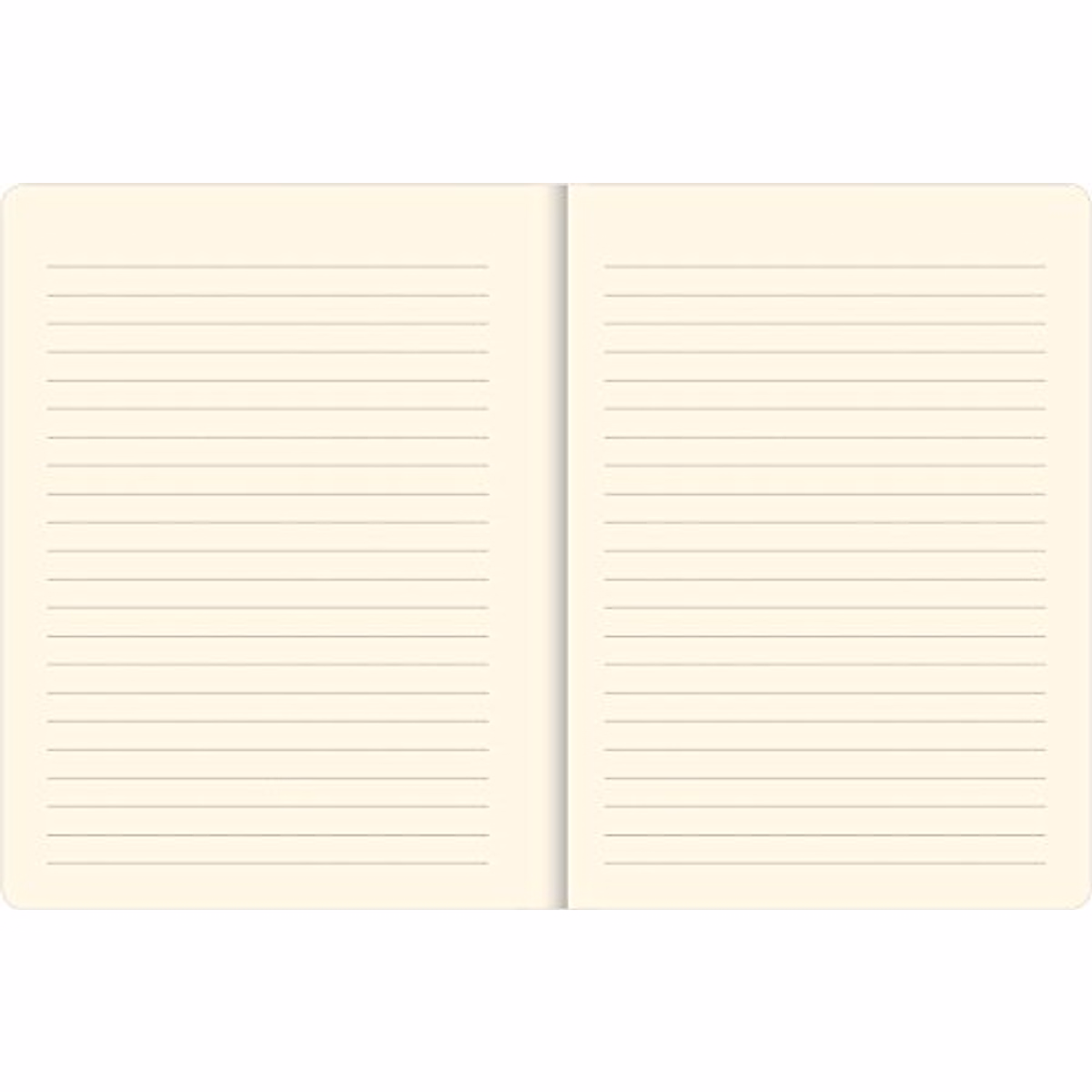 Inca Treasure Journal (Diary, Notebook)