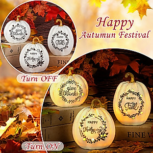 Fovths 3 Pack Happy Fall White Pumpkin Light Tabletop Decor Set Pumpkin Resin with LED Light Autumn Tabletopper Decorations for Fall Harvest Thanksgiving Party Home Table Decorations