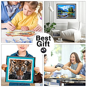 Sheehow 5D Diamond Painting Kits for Adults Angel Girl, Full Drill Diamond Art Rabbit, Gem Pictures Paint by Numbers Art, DIY Cross Stitch Jewel Art Rhinestone Craft for Home Wall Decor 12X16 inch