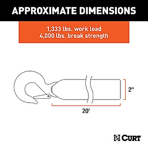 CURT 29007 2-Inch x 20-Foot Nylon Winch Strap with Hook, 4,000 lbs , black