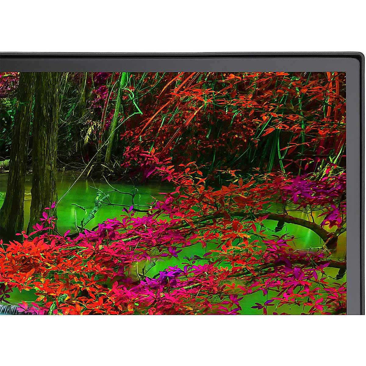 NEC 27” Business-Class Widescreen Desktop Monitor w/Ultra-Narrow Bezel and IPS Panel