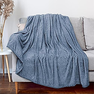 PAVILIA Soft Flannel Fleece Blanket Throw Dusty Blue, Textured Decorative Velvet Blanket for Couch Sofa Bed, Fuzzy Plush Cozy Warm Lightweight Microfiber Throw, Jacquard Weave Leaves Pattern 50x60