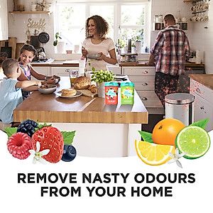 Bin Buddy Mixed Fresh Citrus & Berry, 450g, Pack of 6, Bin Freshener Deodoriser Powder, Leaves Your Bin Smelling Great, Suitable for Indoor and Outdoor Bins