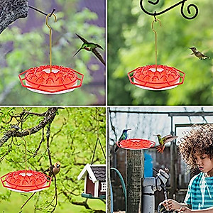 Hummingbird Feeders for Outdoors Hanging, Leak Proof Hummingbird Feeder Built-in Moat with 25 Feeding Ports 12 oz Capacity can Feed More Hummingbirds, Easy to Clean, Fill and Install (1)