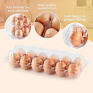 60PCS Egg Cartons Reusable Plastic Egg Carton 12 Count, 1 Dozen Clear Blank Egg Cartons Cheap Bulk for Large Eggs, Blank Chicken Egg Tray Holders for Family, Chicken Farm, Business Market Display