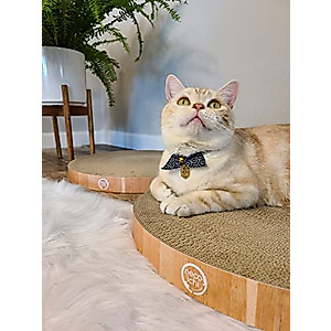 Cozy Cat Scratcher Bowl Replacement Pad (2 Pack), 100% Recycled Paper, Chemical-Free Materials (Regular, Oak)