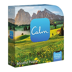 Spin Master 300-Piece Calm Jigsaw Puzzle for Relaxation, Stress Relief, and Mood Elevation, for Adults and Kids Ages 8 and up, You Belong Here