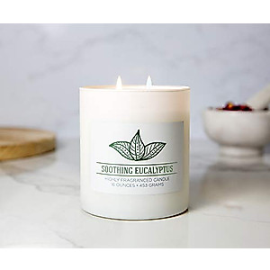 Colonial Candle Soothing Eucalyptus Scented Jar Candle, Wellness Collection, 2 Wick, 16 oz - Up to 120 Hours Burn
