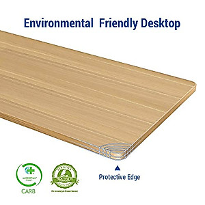 FLEXISPOT Pro 3 Stages Dual Motor Electric Standing Desk 48x30 Inches Whole-Piece Desk Board Height Adjustable Desk Electric Stand Up Desk Sit Stand Desk(White Frame + Natural Desktop)