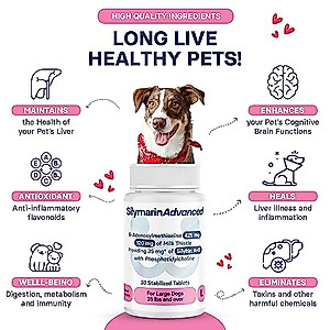 SilymarinAdvanced Liver Health Supplement for Large Dogs Combining S-Adenosylmethionine (Same) and Silybin, Liver Tablets, Cognitive Support, Pet Essentials & Wellbeing, 30 Tablets