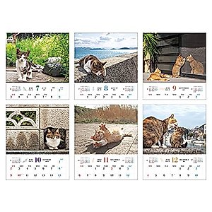 そとねこ (インプレスカレンダー2022)