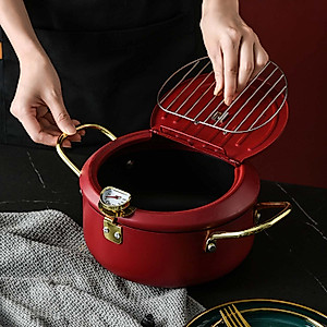 LEPO Deep Fryer Pot, 2.2L Small Japanese Tempura Deep Fryer Pot, With Thermometer,Lid And Oil Drip Drainer Rack,304 Stainless Steel Fryer Pot, for Kitchen French Fries, Fish and Shrimp