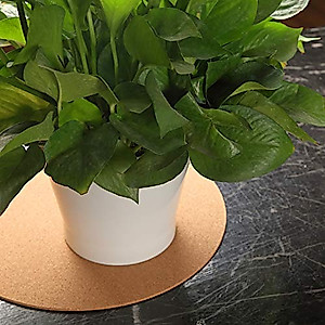 Boao 2 Packs Cork Coaster Round Cork Mat Trivet for Plant 12 Inch Soft Corkboard Mat Absorbent Planter Saucers for Kitchen Hot Pads, Pots, Pans, and Kettles and DIY Crafts Supplies