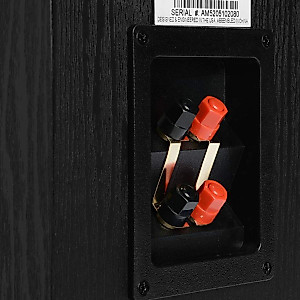 Polk Audio AM5205-B|4 Audio TSi300 Floorstanding Speaker (Single, Black)