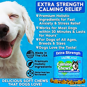 Well Loved Calming Chews for Dogs - Dog Anxiety Relief, Made in USA, Vet Recommended, Dog Calming Chews - Anxiety Relief Treats, Melatonin for Dogs, Hemp Dog Treats for Calming, Extra Strength