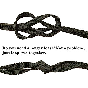 MOOCY Stretchable Kayak Paddle Leash Tether with D-Shape Carabiner Bungee Leash Strap 1ft for Kayaking Canoe SUP Board Paddles, Surfboard, Fishing Poles Rods